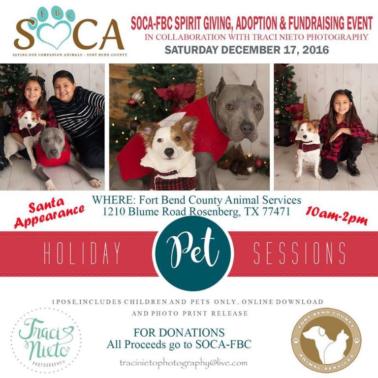 Holiday Photos with Santa - SOCA-FBC
